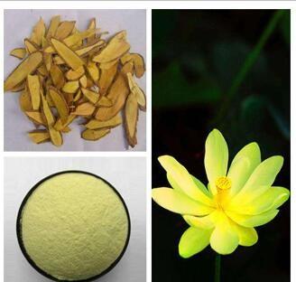 China herbal extract berberine 97% for sale
