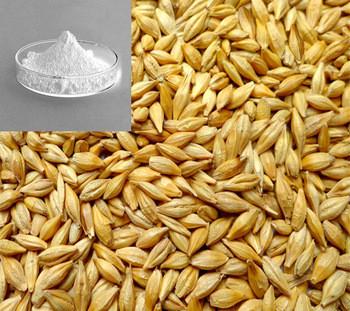 China Natural Hordenine Extract Powder Hordenine 98% for sale