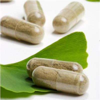China nutritional supplements Ginko flavones Terpenlactone Ginkgo biloba leaves Extract for sale