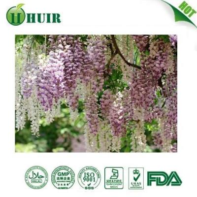 China Herbal extract Rutoside Rutin powder for Prevention against Cerebral Hemorrhage for sale