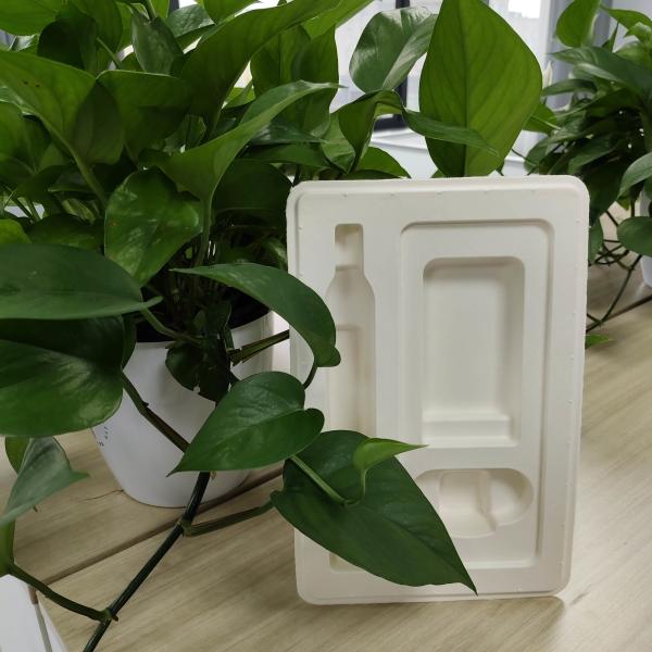 Quality Directly supplied by Chinese factories. The pulp-molded packaging base for electric toothbrushes is drop-proof, shockproof, environmentally friendly and biodegradable. for sale