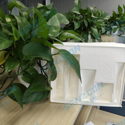 China Direct supply from the factory. White pulp molding high-end cosmetic and skincare product set base. Environmentally friendly and biodegradable. for sale