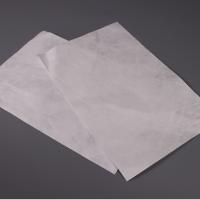 China Tyvek Cleanroom Wipe Papers 50x50cm 250 Sheets Lint Free Anti Static for Semiconductor for sale