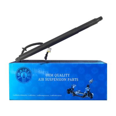 China Achterste achterdeur Strut 51247318651 voor BMW X6 F16 2015-2019 LH 1 stekker Te koop