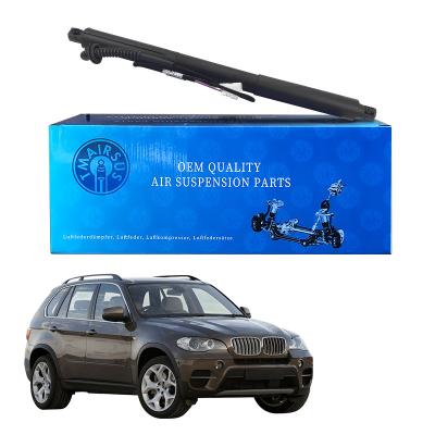 Cina BMW X5 E70 E70 LCI Porta elettrica nera con bassa manutenzione 51247332696 in vendita