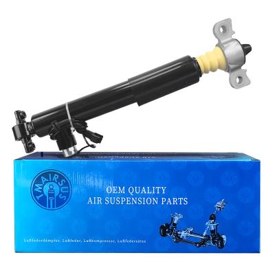 Cina Esemplare accettabile di assorbente di urti posteriori per auto Ocm HG9Z18125C per prestazioni in vendita