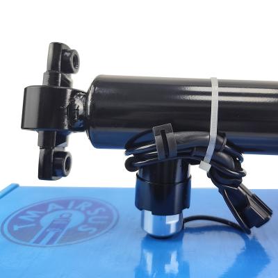 Cina Esemplare accettabile di assorbente di urti posteriori per auto Ocm HG9Z18125C per prestazioni in vendita