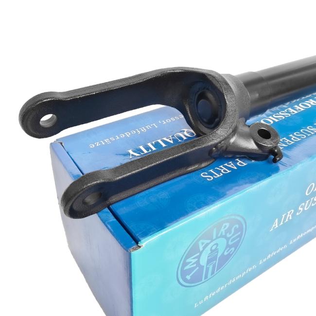 Air Spring Strut Damper product image 1