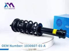Tesla Air Suspension Strut Assembly for Model 3 Model Y Front Left Front Right Shock Coil Spring Kit