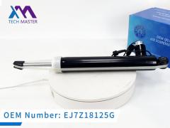 De Pneumatische Schokbreker van BMW voor F16 X5 X6 37106875087 37106875088 van BMW F15