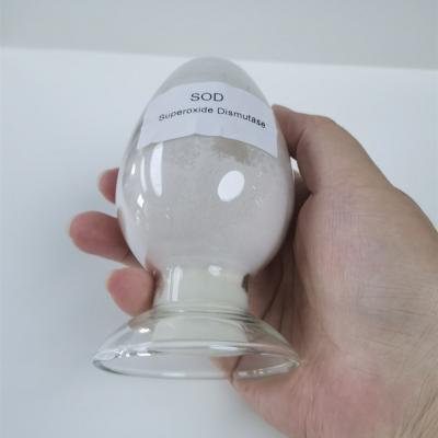 中国 反老化する物質的な酵素SOD2のスーパーオキシドのディスムターゼの淡いピンクの粉 販売のため