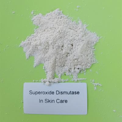 Cina un superossido dismutasi di 50000 iu/g in cosmetici in vendita
