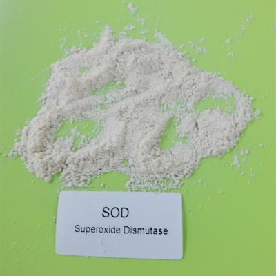 China De ZODEsuperoxide van de huidbescherming 99% Dismutase het Anti Verouderen Te koop