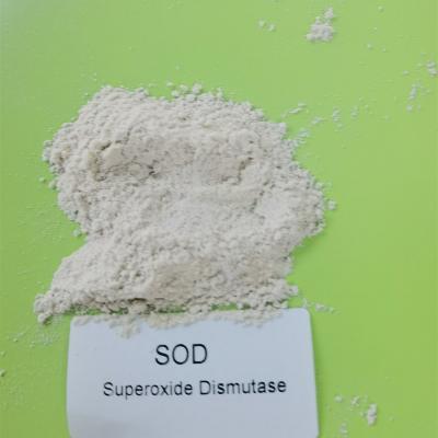 China 99% Superoxide van CAS 9054-89-1 Dismutase in Schoonheidsmiddelen Te koop