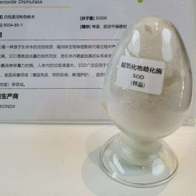 China Witte de Rang99% Superoxide van het Poedervoedsel Dismutase voor Huid Te koop