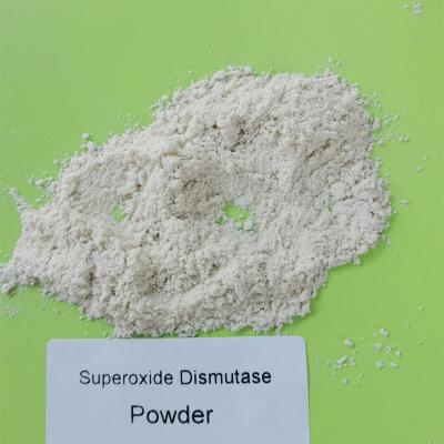 Cina Il superossido dismutasi di materia prima del commestibile spolverizza il pH 4-11 in vendita