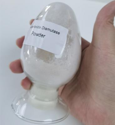 China 99% Superoxide Dismutase de ZODE in Voedsel vermindert Kater beschermt Lever Te koop