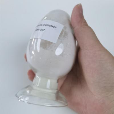 China Pó resistente 9054 do Dismutase do Superoxide do ácido e do alcaloide 99% 89 1 à venda