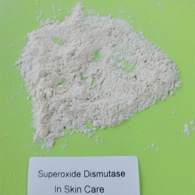 China Het microbiële Poeder van de Gistingszode verwijdert Vrije Basissen het Anti Verouderen Te koop