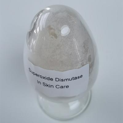 China Houd Schoonheidssuperoxide Dismutase in Skincare 9054-89-1 Te koop