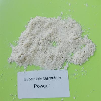 China Natuurlijke Superoxide van de voedselrang 99% Dismutase 50000iu/g Te koop