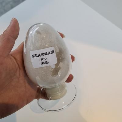 China o Dismutase do Superoxide 500000iu/g pulveriza Cas No 9054-89-1 à venda
