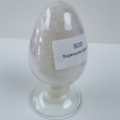 Cina ZOLLA microbica del superossido dismutasi del commestibile di fermentazione 50000iu/g in vendita