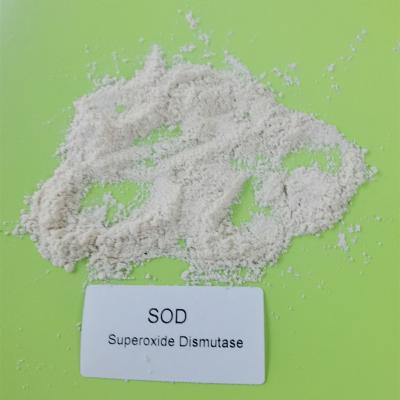 China Superoxide van de zuiverheids99% Microbiële Extractie Dismutase in Schoonheidsmiddelen CAS 9054-89-1 Te koop