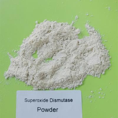 China Luz da licença de produção alimentar - o rosa pôs o Dismutase do Superoxide de 99% à venda