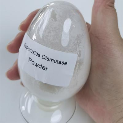 Cina Superossido dismutasi resistente dell'alcali e dell'acido in cosmetici in vendita