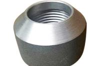 China Metal T Pipe Threaded Weldolet for sale