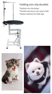 Cina Tabella trasversale elettrica della chirurgia veterinaria degli ss per governare dell'animale domestico in vendita