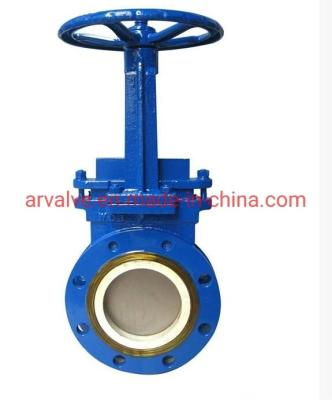 Cina La flangia unidirezionale DN300 conclude l'alveo di PN25 Cf8m API Gate in vendita