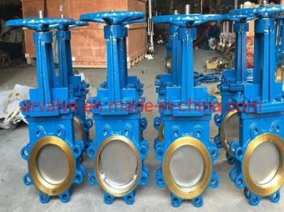 Cina La flangia unidirezionale DN300 conclude l'alveo di PN25 Cf8m API Gate in vendita