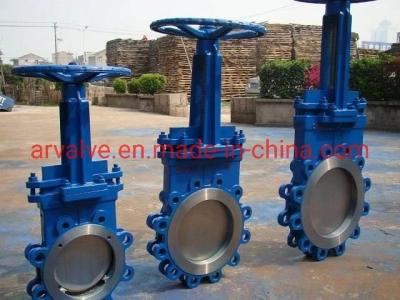 Cina La flangia unidirezionale DN300 conclude l'alveo di PN25 Cf8m API Gate in vendita