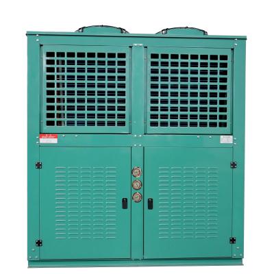 China Fresh Keep V-Type Semi-Hermetic Air-Cooled Scroll Compressor Eco-Friendly Adjustable Humidity Condensing Unit Motor for Cold for sale