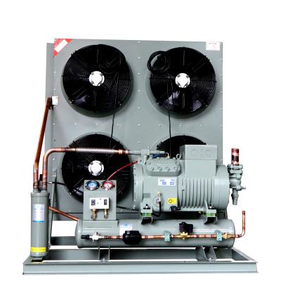 China Long-Life Premium Automatic H-Shaped Condensing Unit with Scroll Compressor and Motor for Cold Room Maintenance for sale