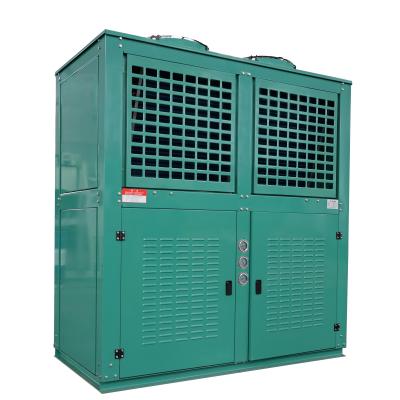 China Eco-Conscious Automatic V-Type Condensing Unit with Motor for Dairy Warehouses Organic Milk Temperature Stabilization for sale