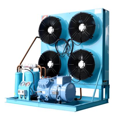China High-Performance Semi-Hermetic Core Engine Pump Compressor Parts for Energy-Saving Cold Room Refrigeration Units for sale