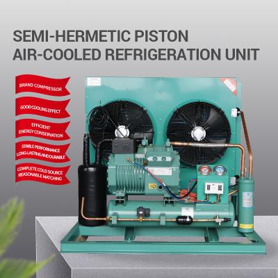 China Professional R&D Team Cold Storage Condenser Sale New Condition Cold Room Condensing Unit with Gear Core Components for sale