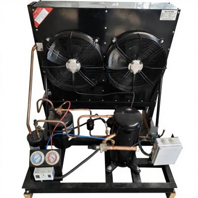 China H-Type Semi-Hermetic Refrigeration Unit High Efficiency for Industrial Cold Chain for sale