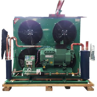 China RUIXUE Blast Freezer Cold Storage Room Energy-Saving Cooling Refrigeration System Bitzee Compressor Condensing Unit 160kg for sale