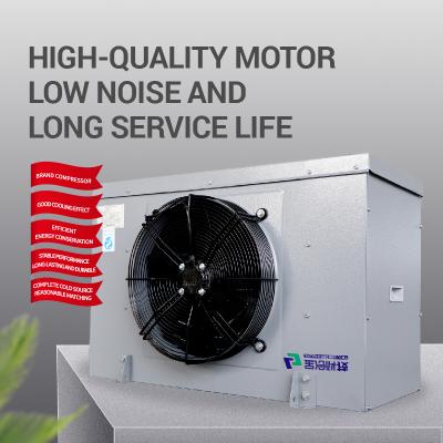 China Low Noise Thermal Evaporator Wall-Mounted Cooling System Cold Chamber Air Cooler Unit  for Cold Room for sale