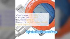 Explosion Proof Digital Pressure Gauge Accurate & Safe