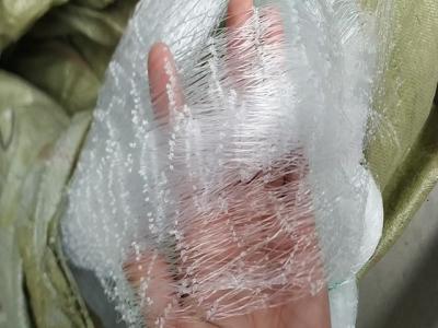 China High Tensile Strength Chinlon Anti Bird Net White For Grapes for sale