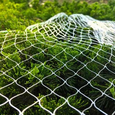 China Opening 2.5mm Bird Netting For Grapes Anti Bird Protection Net for sale