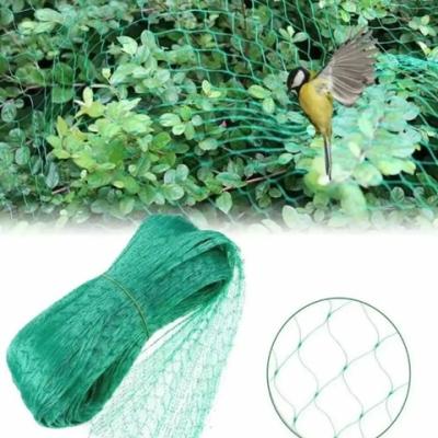 China Green Knitted Anti Bird Netting For Fruit Trees Orchards Protection for sale
