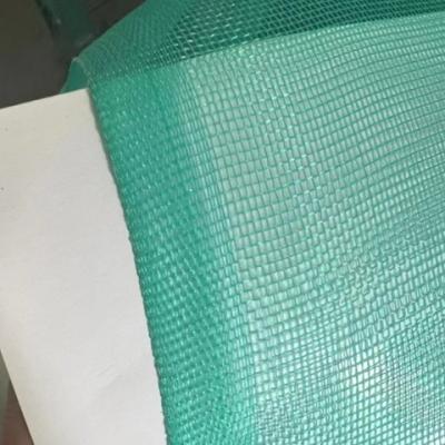 China Garden And Farm Plastic Window Screen With HDPE Material for sale