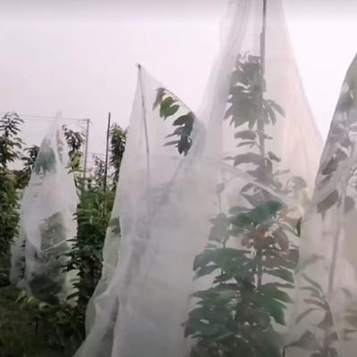 China HDPE Different Size Garden Netting 30-50 Mesh For Vegetables for sale