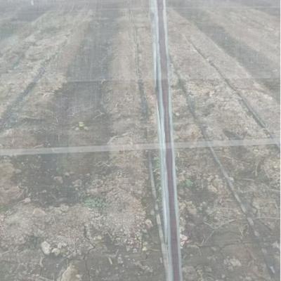 China White And Green Garden Netting 40mesh 50mesh For Plant Protection for sale